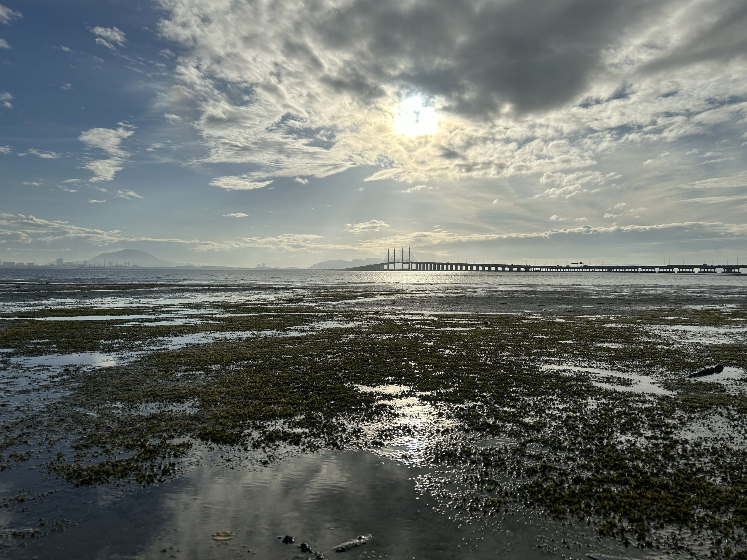 A Jewel in the Middle of Penang Strait by Penang Green Council – Penang ...