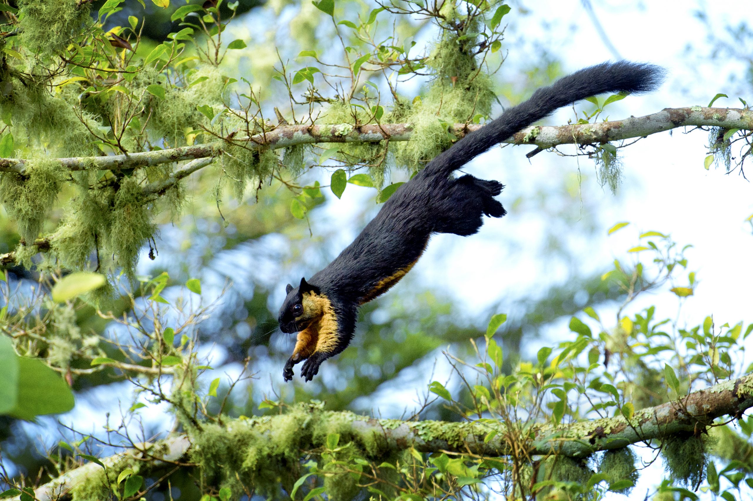 Penang Hill Biosphere Reserve – What Does It Take to Protect Our Coast ...
