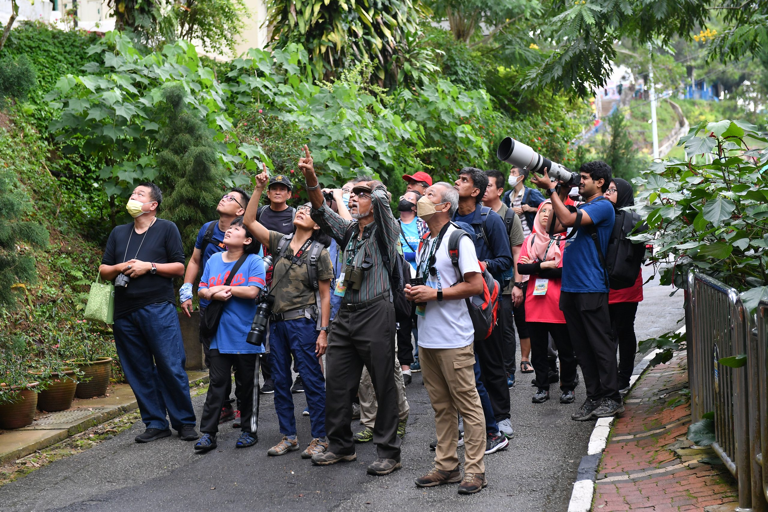 Birdwatching with Kanda Kumar – Penang Hill Festival