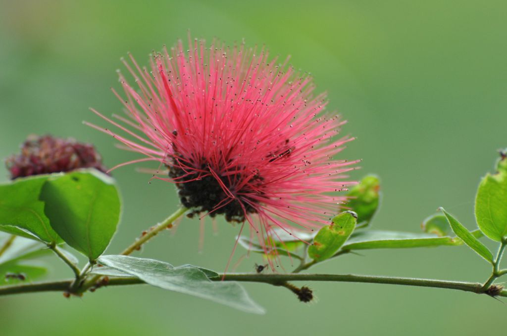 Nature & Wildlife